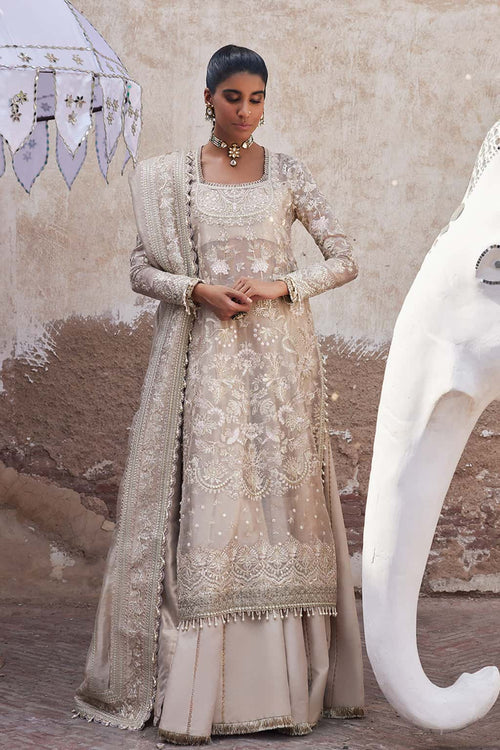 Wedding Formal Dresses in Pakistan – Afrozeh