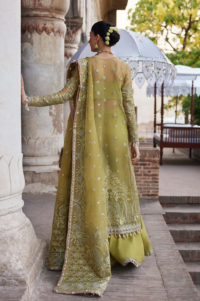 Wedding Formal Dresses in Pakistan – Afrozeh